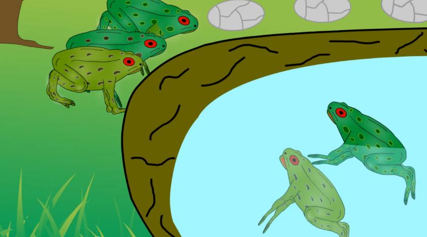 นิทานภาษาอังกฤษ เรื่องกบสองตัว (TWO FROGS) - Nitan Story